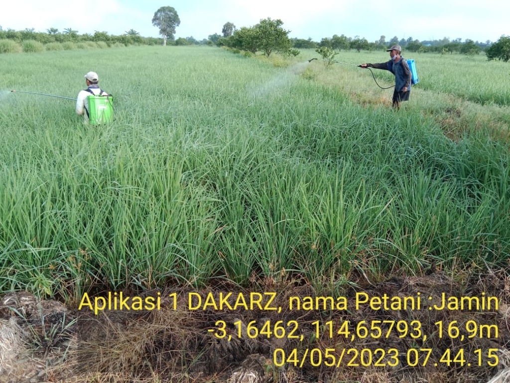 Demplot Pupuk Hayati (DakarZ) di Kecamatan Mandastana | POPT Batola