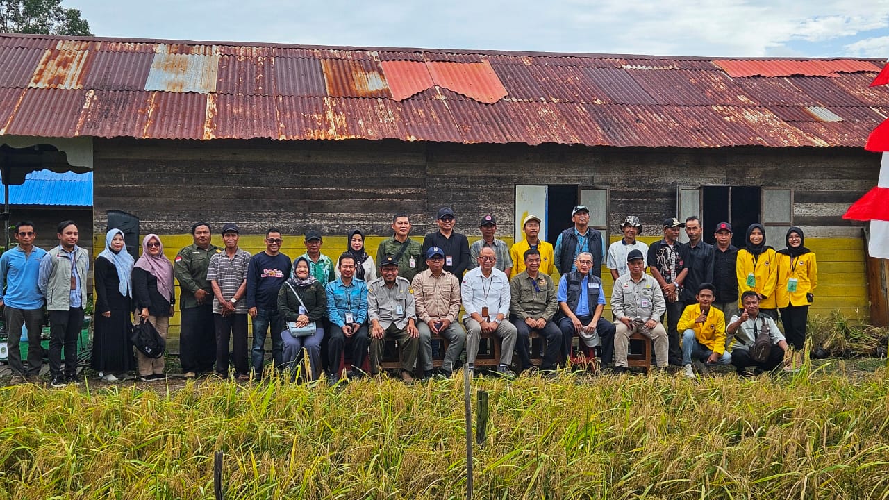 Panen Kegiatan Padi Apung di Desa Sampurna Kecamatan Jejangkit | SIP Batola